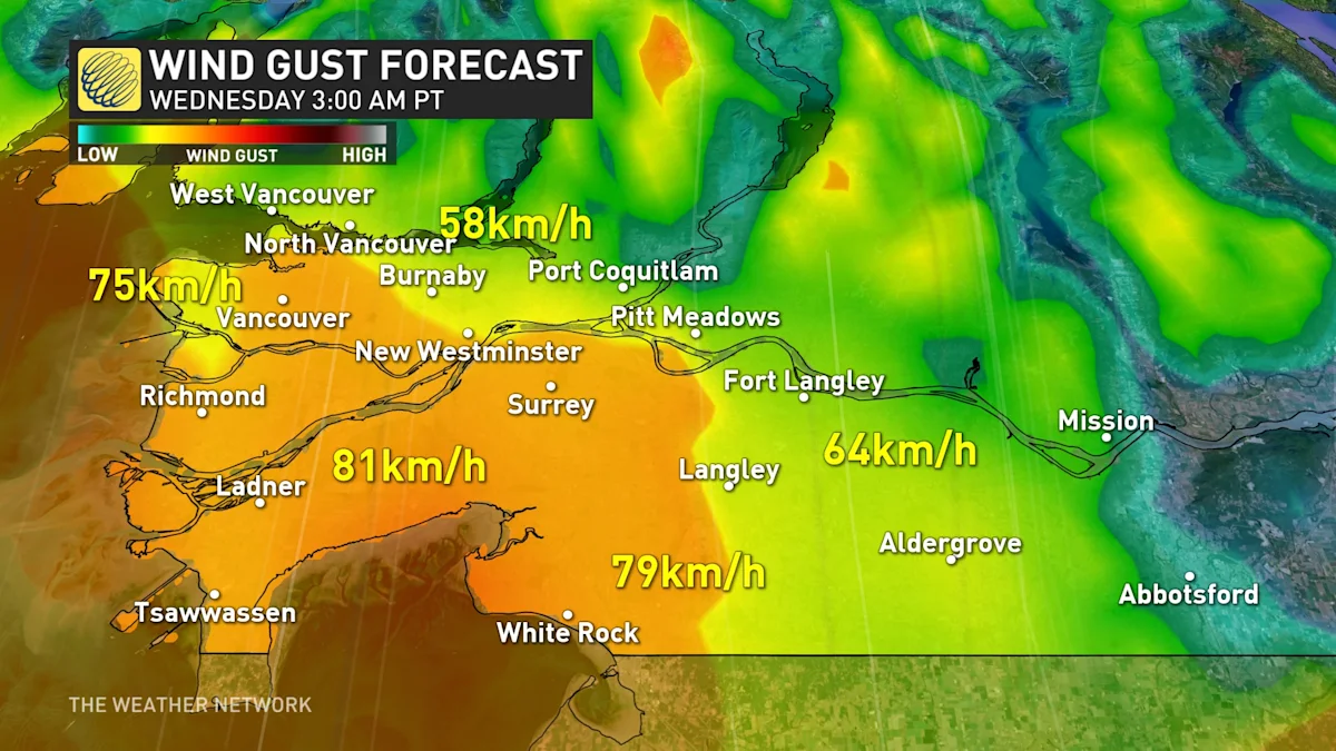 Dominant storm targets B.C. with mighty winds that could impact power ...