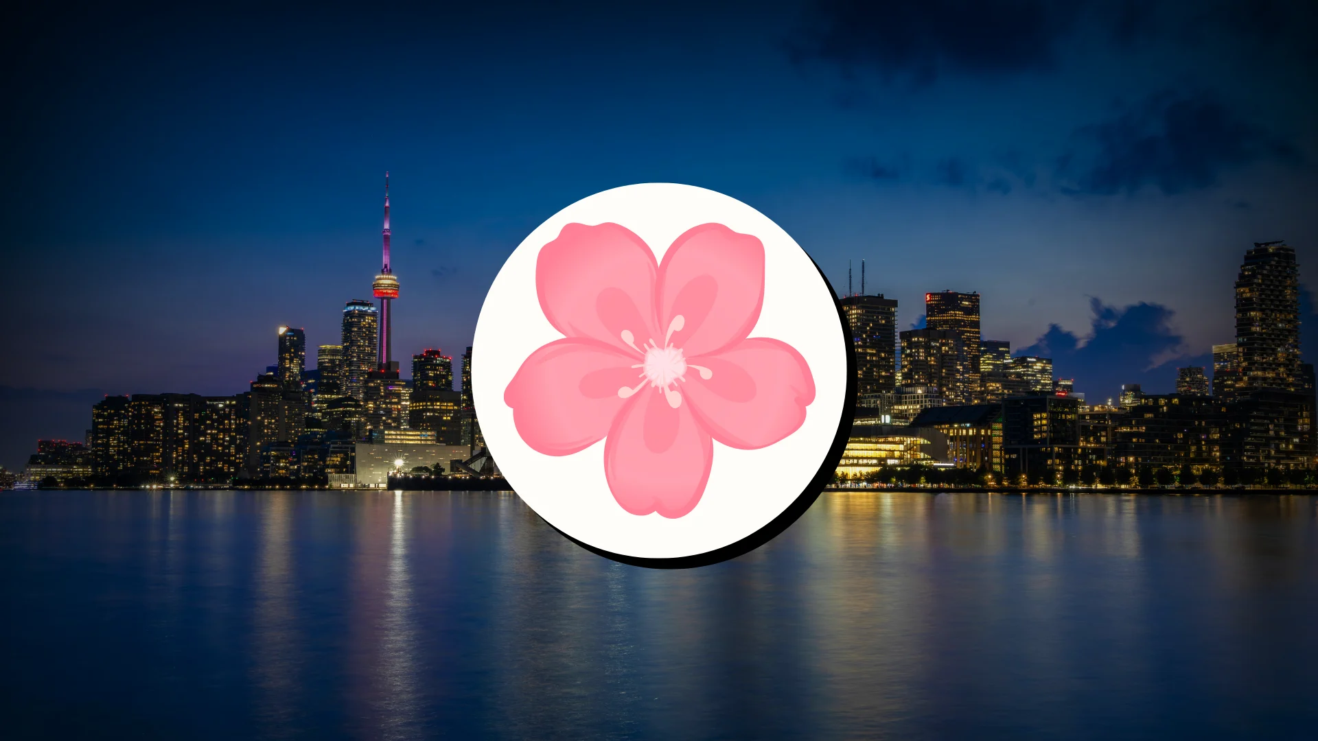 Are you ready? Toronto very close to peak cherry blossom bloom - The ...