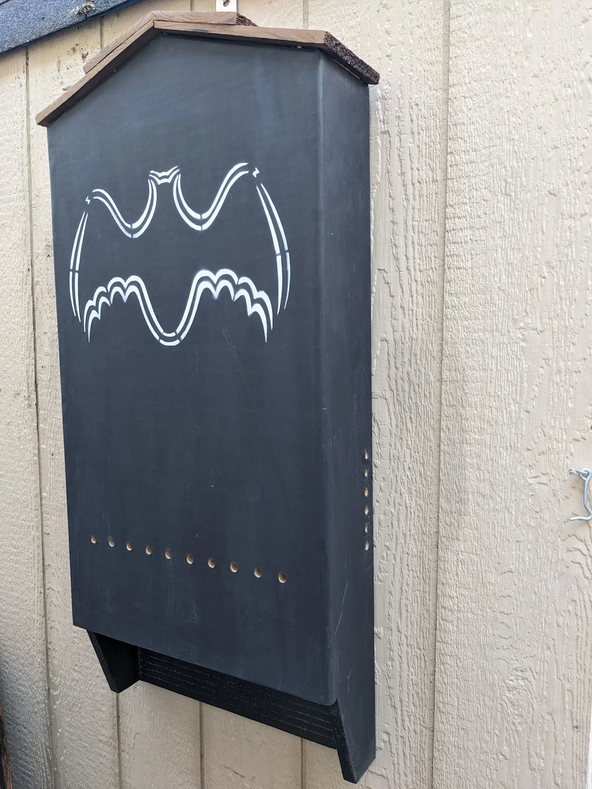 Can bat boxes help Canada's troubled mammals endure tough weather ...