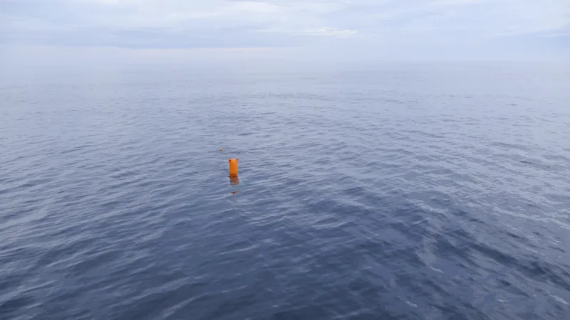 Innovative ropeless fishing gear helps prevent whale entanglements ...