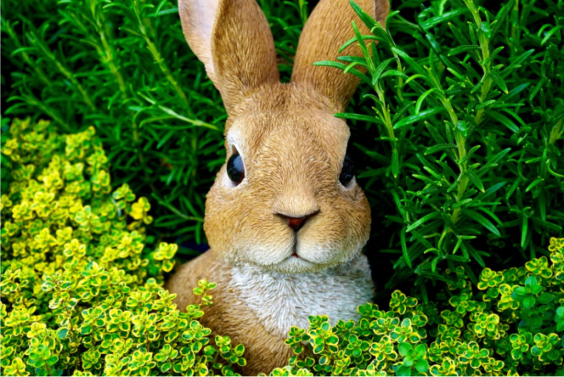 Is the Easter bunny real? How to answer, according to a psychologist ...