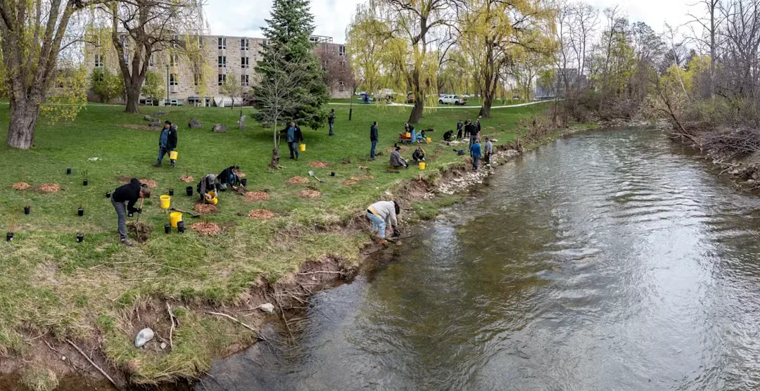 Ontario floods: How nature-based solutions can aid in effective flood ...