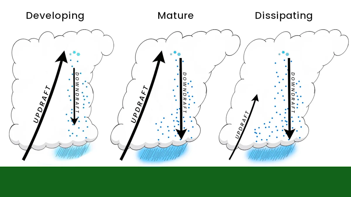 How do thunderstorms form and grow into immense weather powerhouses ...