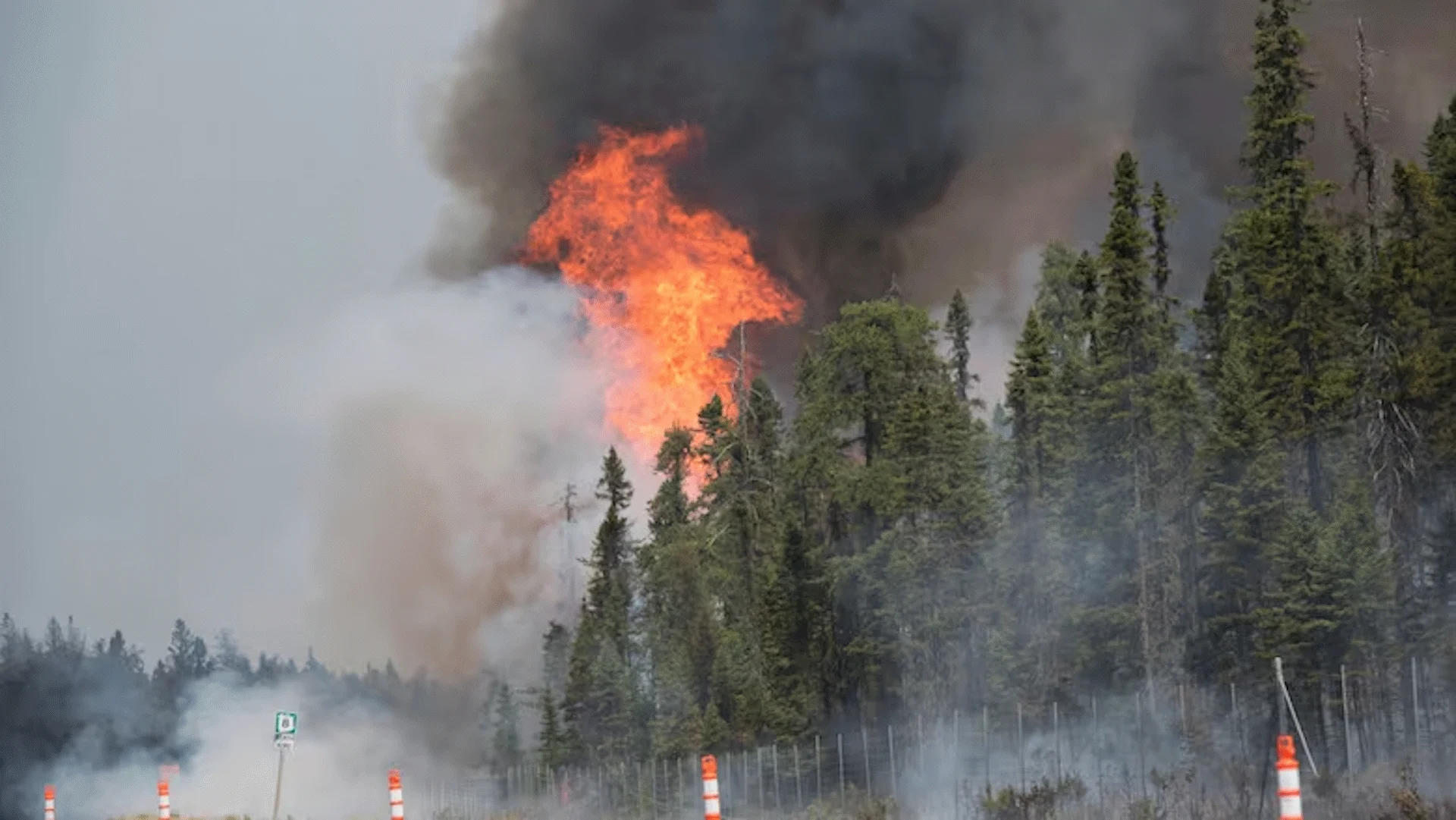 New Brunswick's largest fire still out of control on day 10 - The ...
