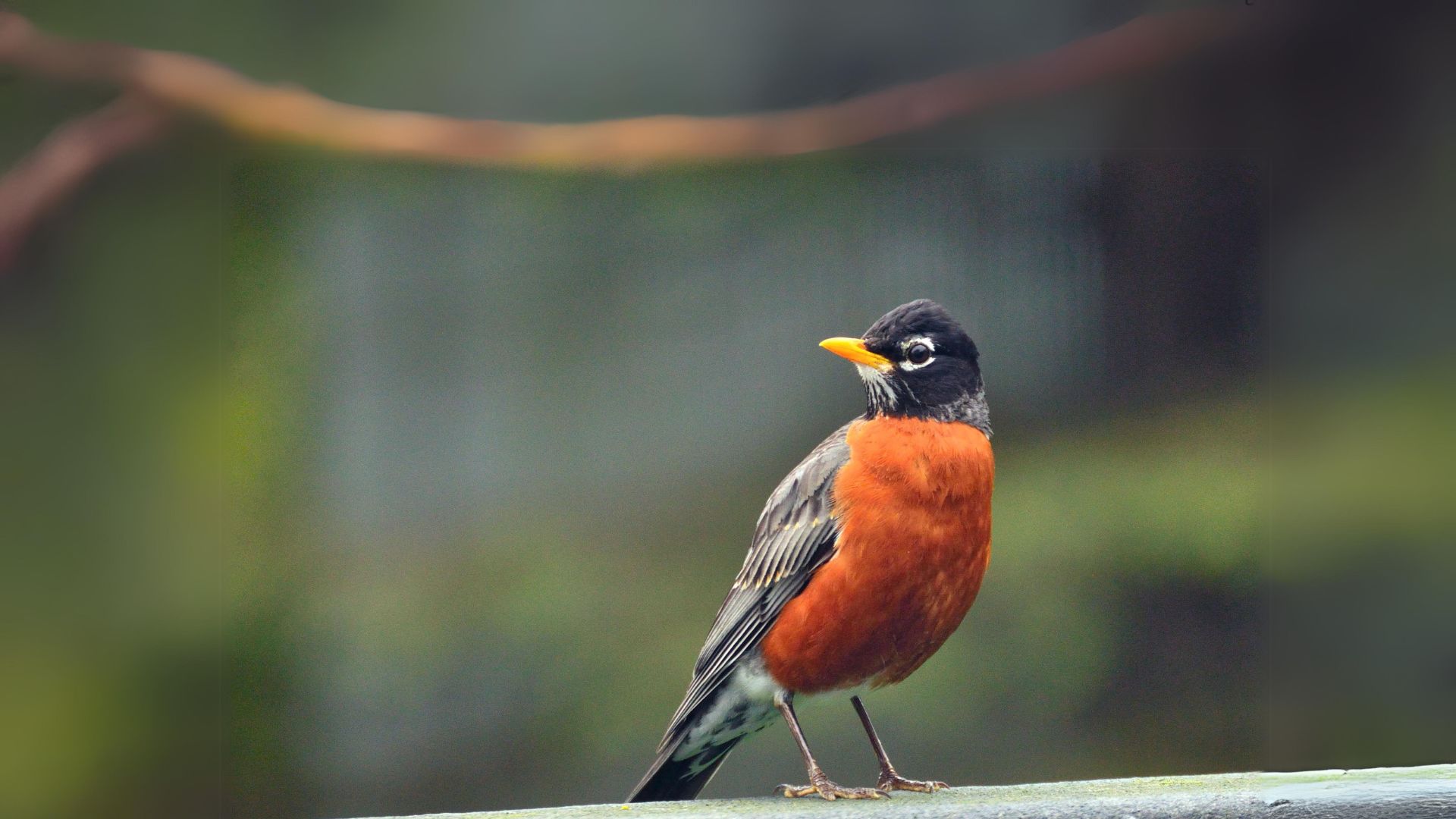 Oshawa's weather forecast for April 8: Clouds, sunny spells, and a mild ...