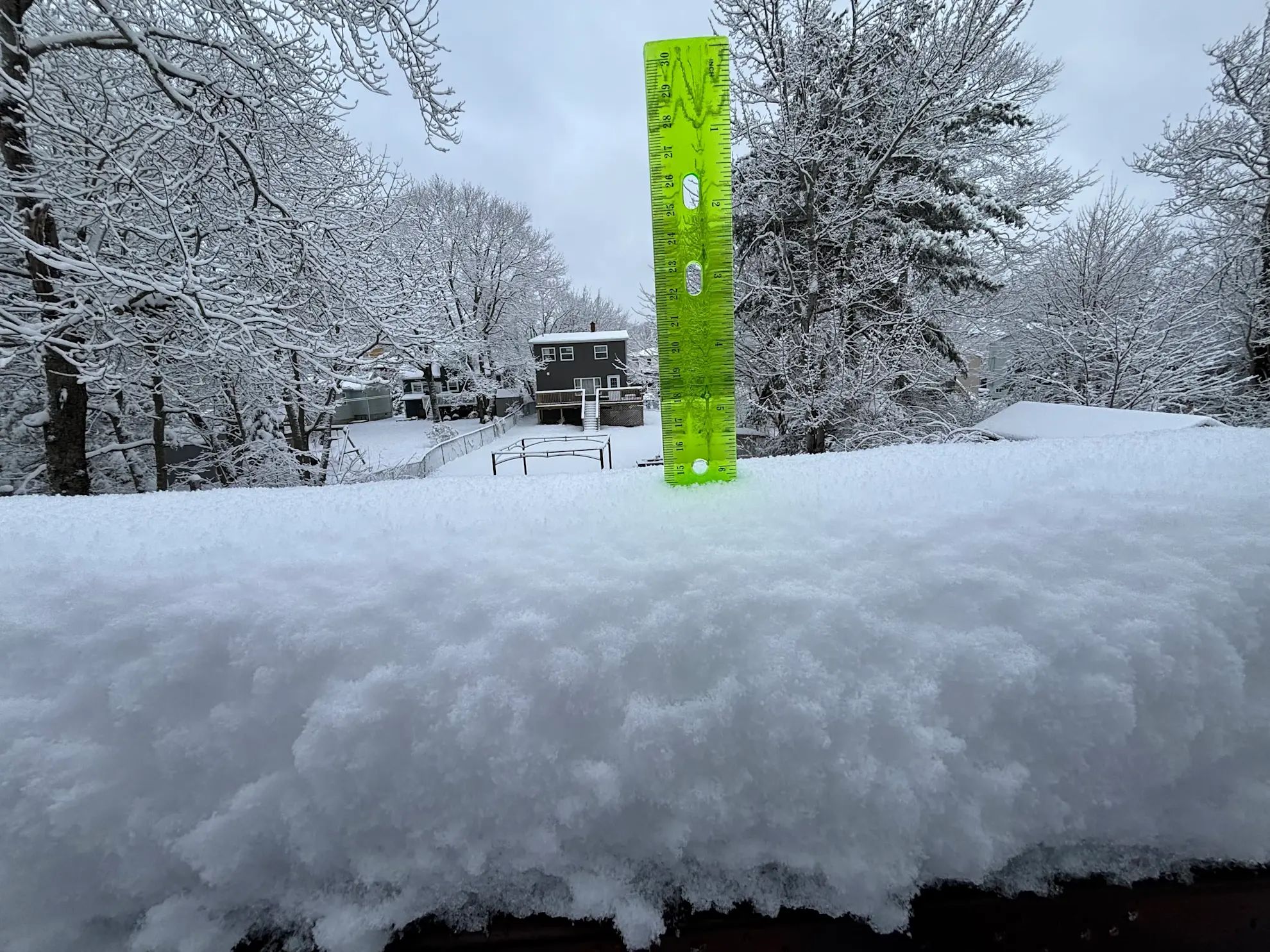 Surprise! 'Sprinter' shows up in parts of Canada (PHOTOS) - The Weather ...