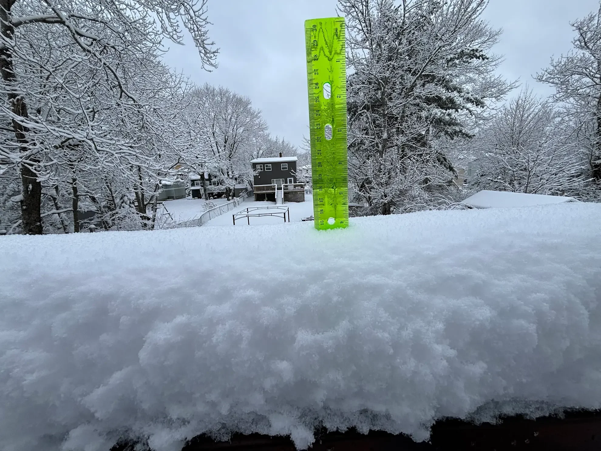 Surprise! 'Sprinter' shows up in parts of Canada (PHOTOS) - The Weather ...
