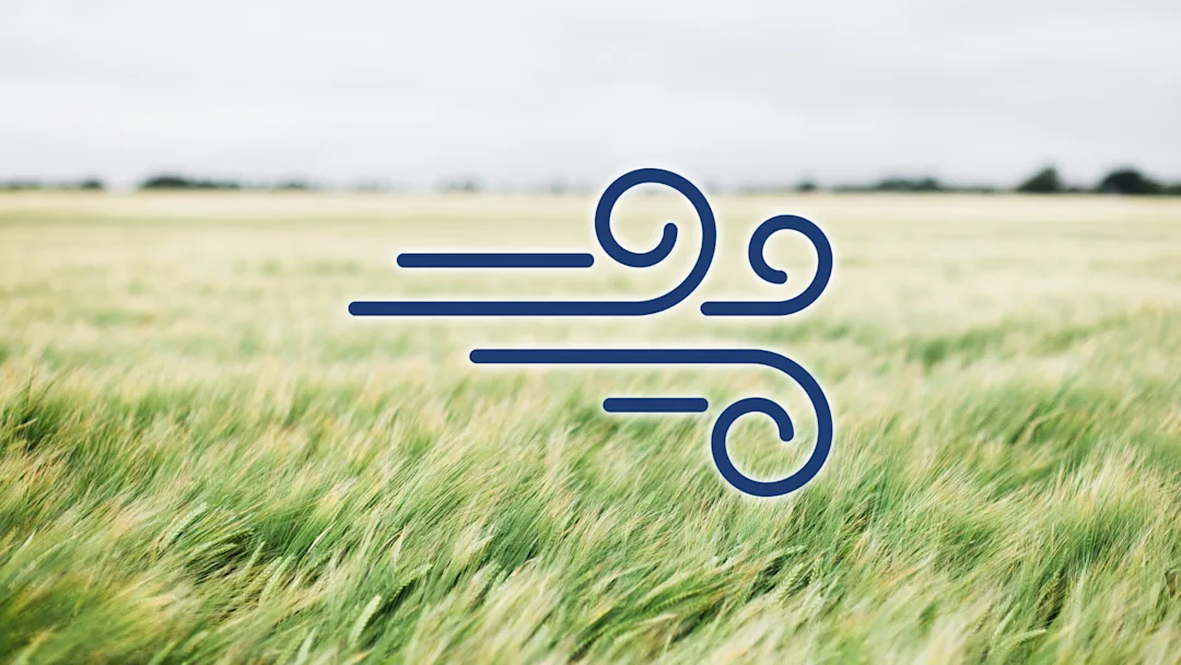 Hold on: Powerful winds set to sweep through Ontario on Friday - The ...
