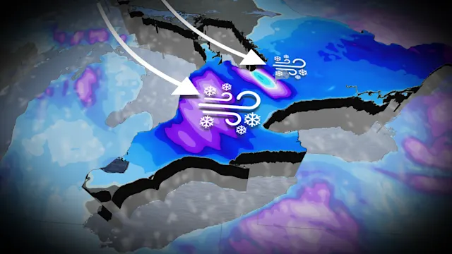 Alerts - Markham, ON - The Weather Network