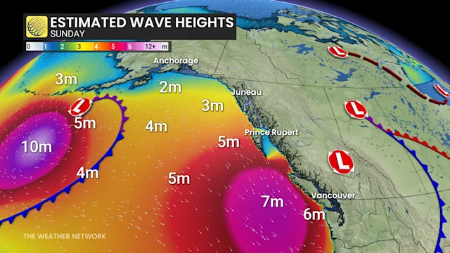 Heavy rain and snow: Typhoon remnants set to shake up B.C.'s pattern ...