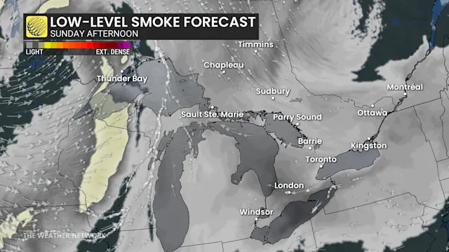 Quebec to soon see improving air quality as wildfire smoke will lift ...