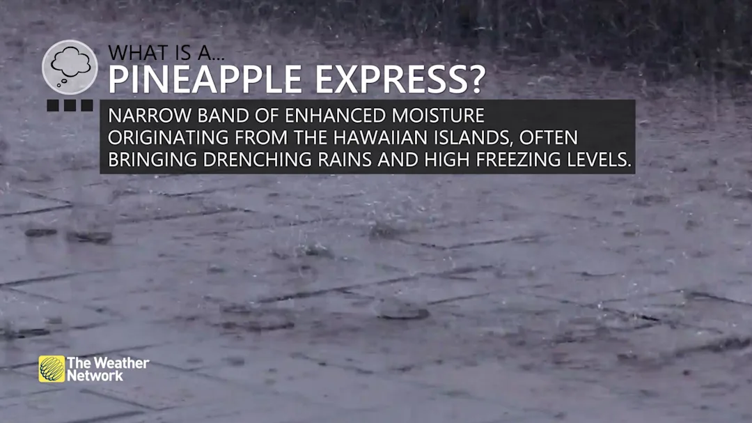 What is a 'Pineapple Express'? - The Weather Network