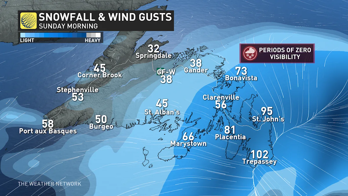 Whiteouts expected as heavy weekend snow aims for Newfoundland - The ...