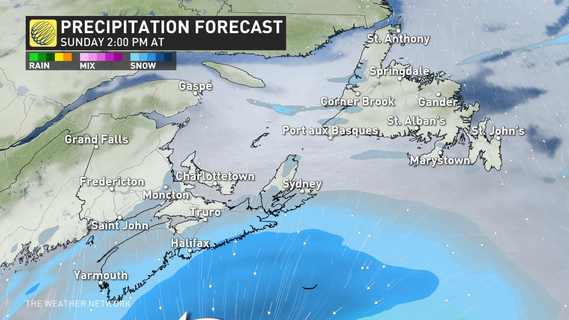 Blizzard conditions across Newfoundland as Nor'easter dumps up to 40 cm ...