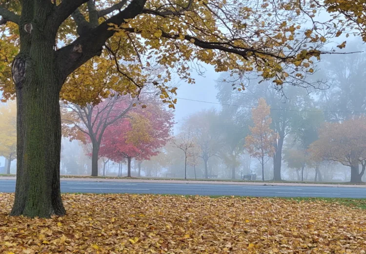 A typical September sends Canada heat, frost, hurricanes, and snow ...