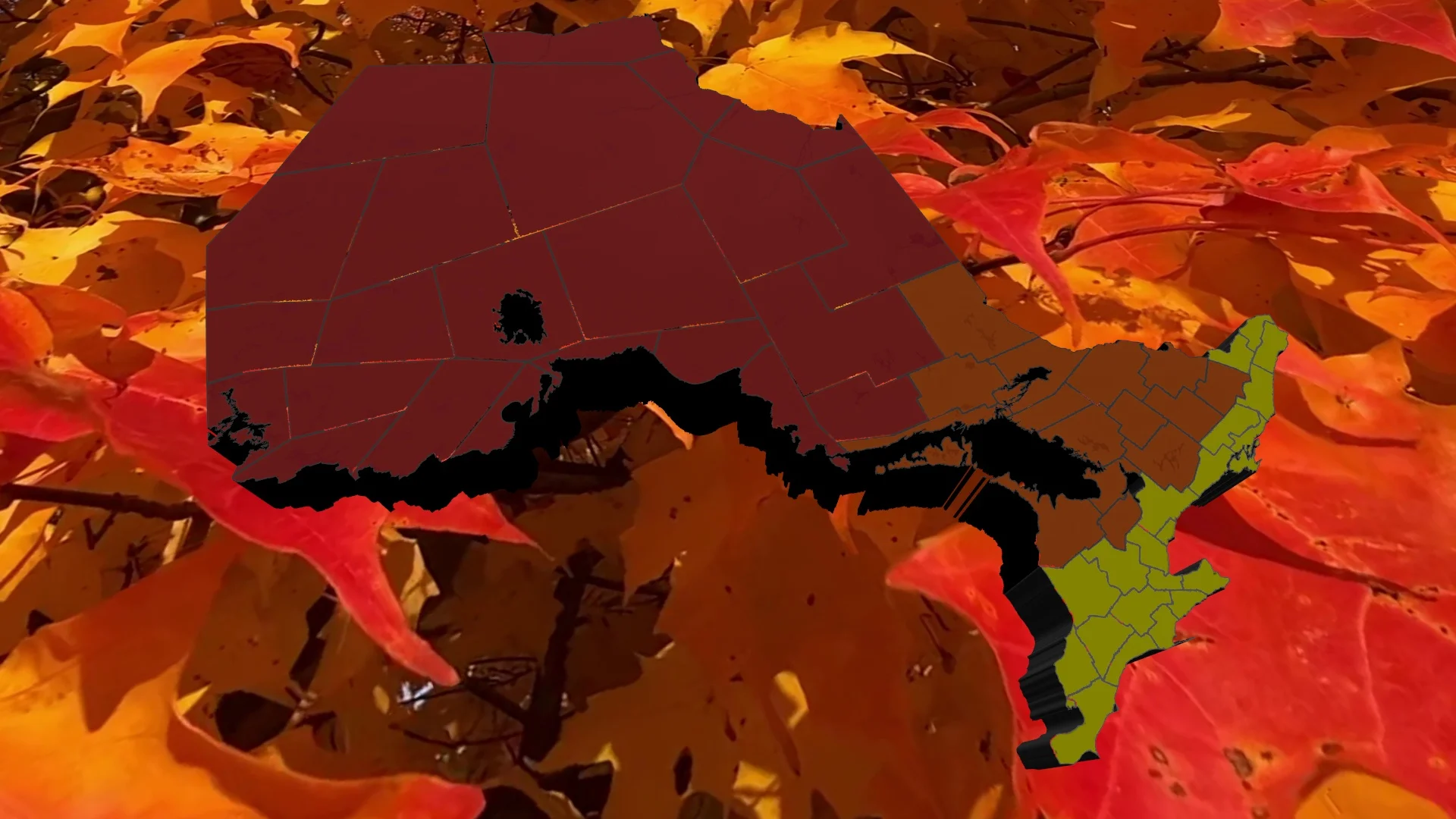 Ontario's fall colours hang in the balance: Brilliant or browning ...
