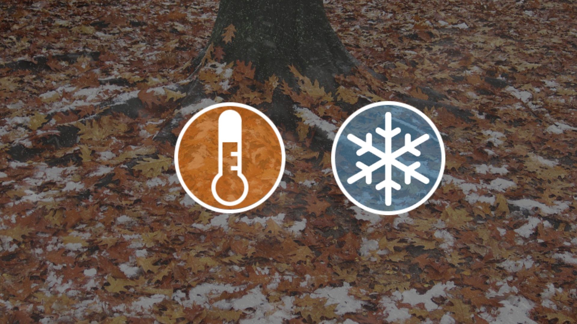 Quand l'automne est doux, l'hiver en paye-t-il le prix? - MétéoMédia