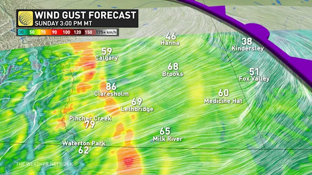 Classic fall wind scenario blows across Alberta on Sunday - The Weather ...