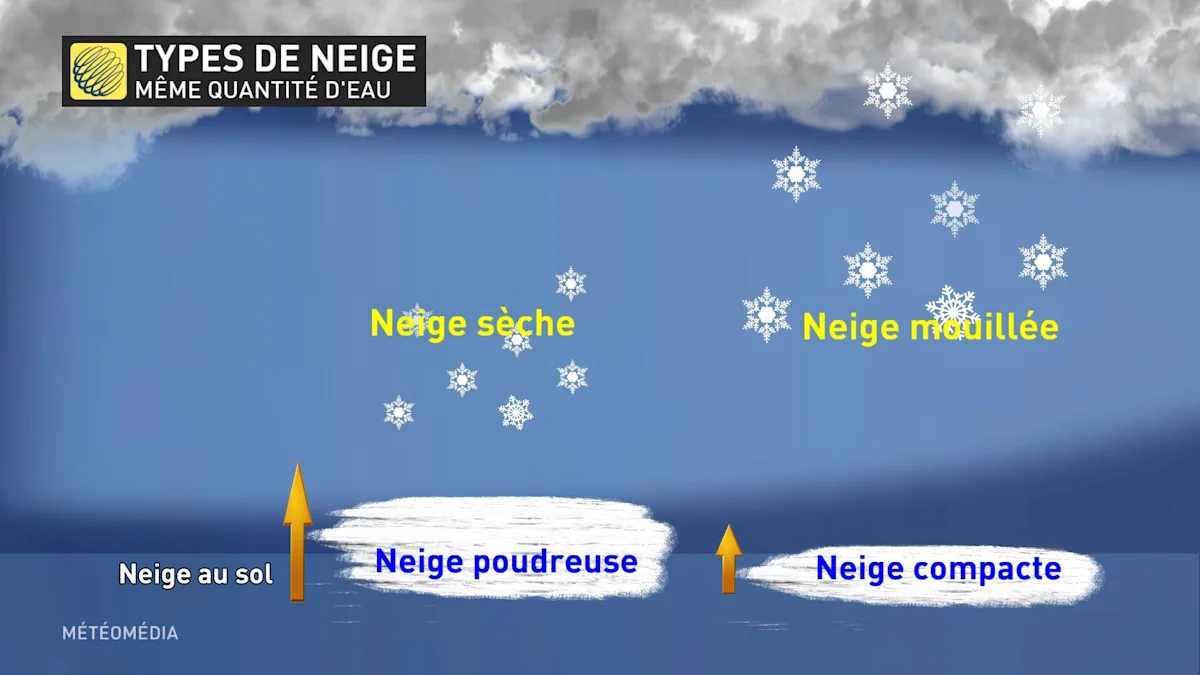 Voici le type de neige du système en place - MétéoMédia