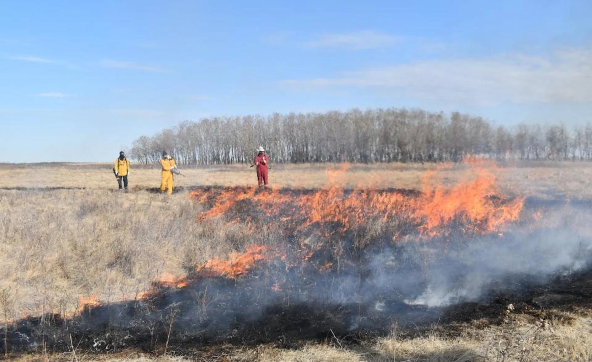'Good fire': Prescribed burning can prevent catastrophic wildfires in ...