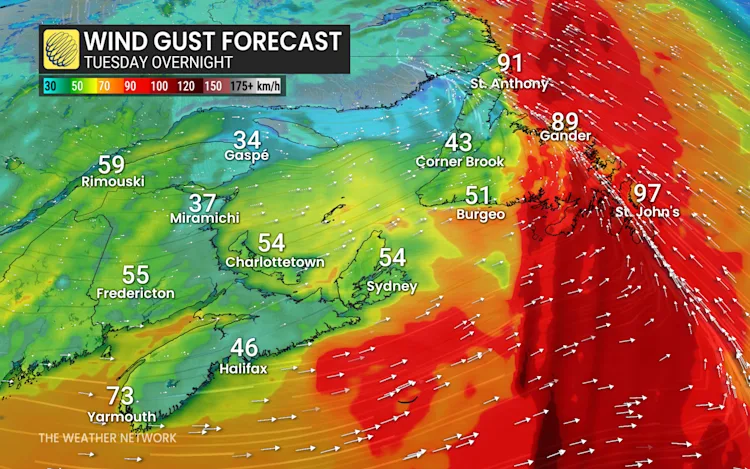 Heavy rain, high winds set to whip into Atlantic Canada - The Weather ...