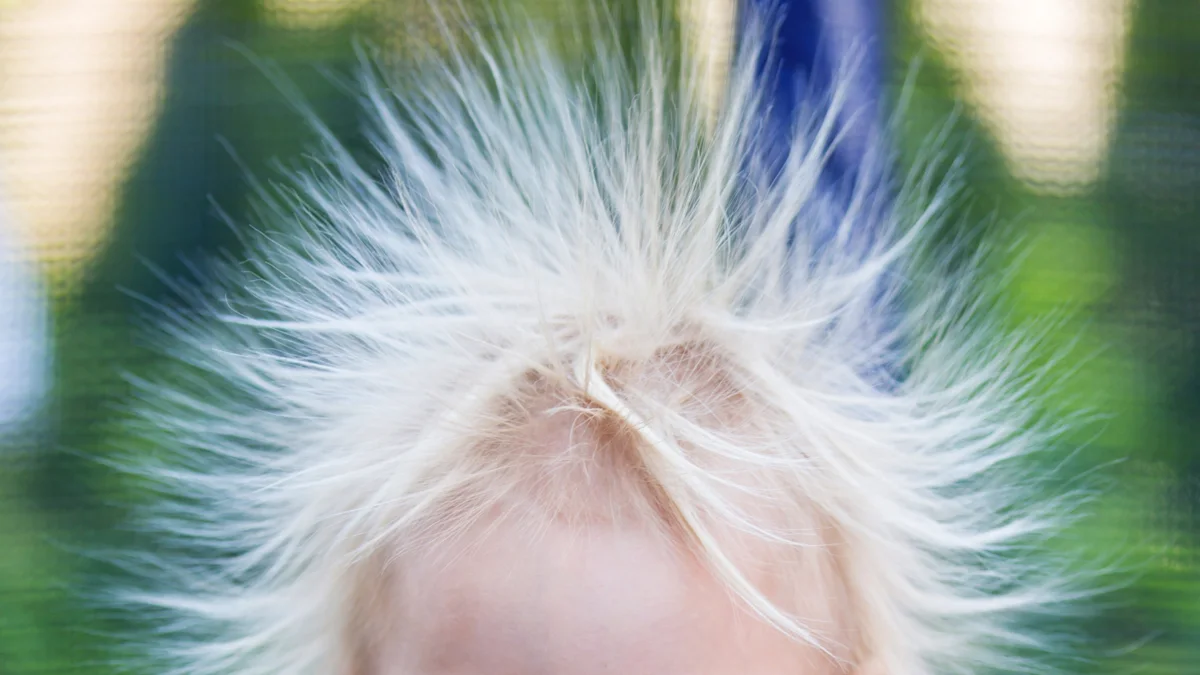 Hair suddenly standing straight up? Take cover immediately - The ...