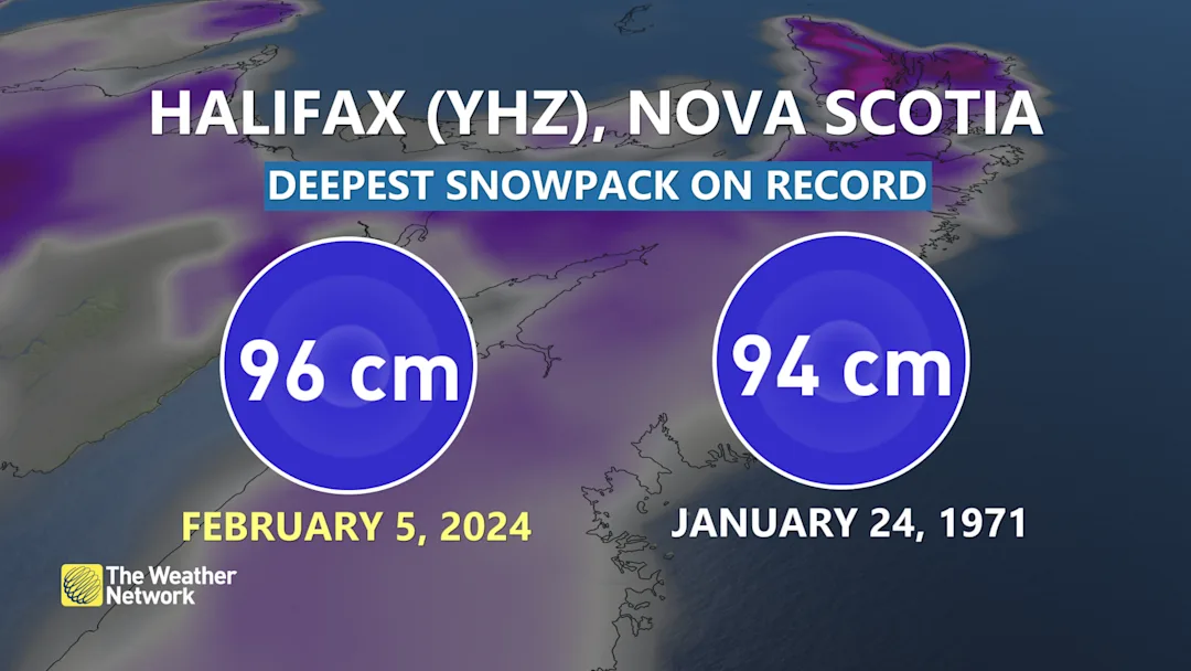 PHOTOS: Record-setting snowstorm drops 100+ cm of snow on Nova Scotia ...