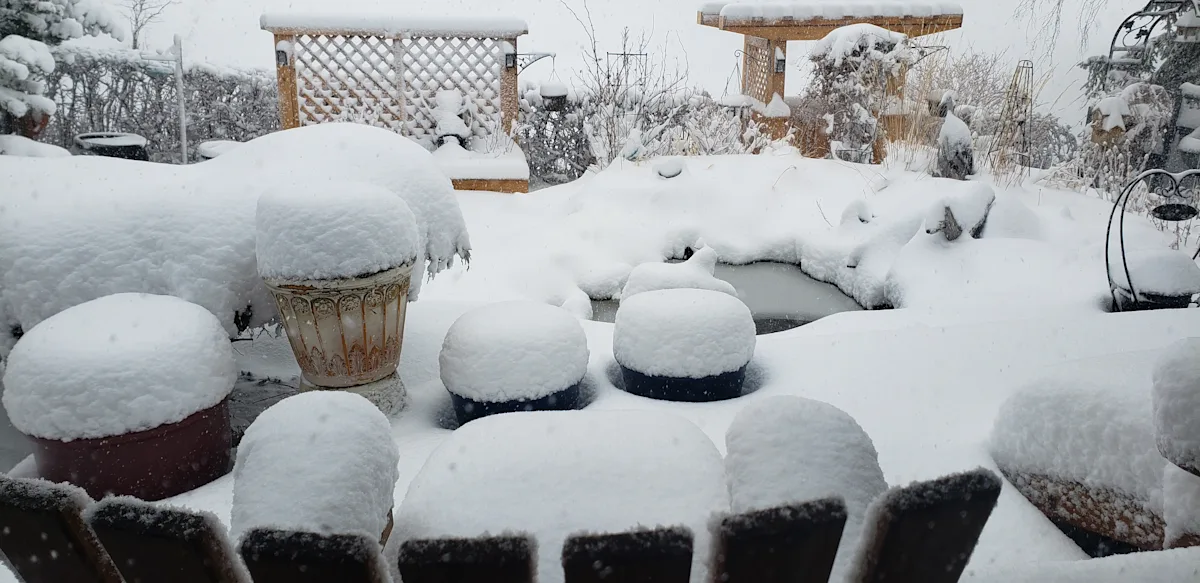 January is Canada’s snowiest month. Here’s what you can expect - The ...