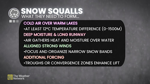 Multi-lake, multi-day Great Lakes snow squalls have unique connection ...