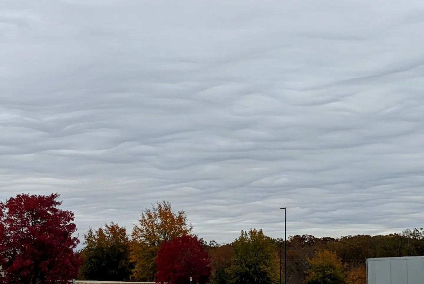 Heads up! These six special clouds linger in our skies every day - The ...
