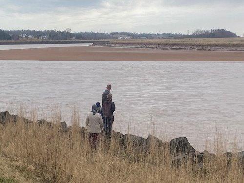 Reverse River? No, it's the Truro tidal bore that is drawing crowds ...
