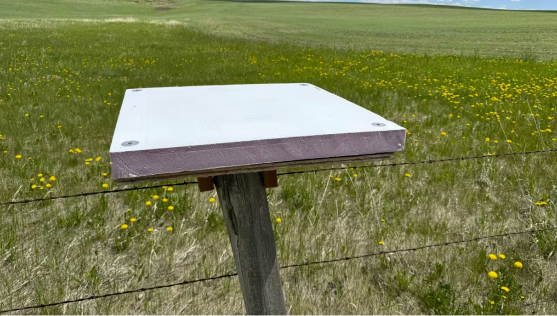 Hailstorm researchers aiming to take a dent out of pricey insurance ...