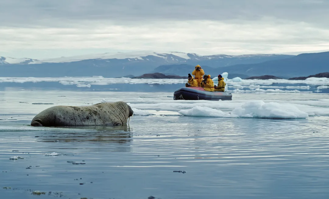Why the Arctic's accelerated warming is an alarm bell for the planet ...