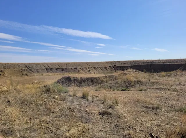 Alberta paleontologists studying rare horse and camel fossils - The ...