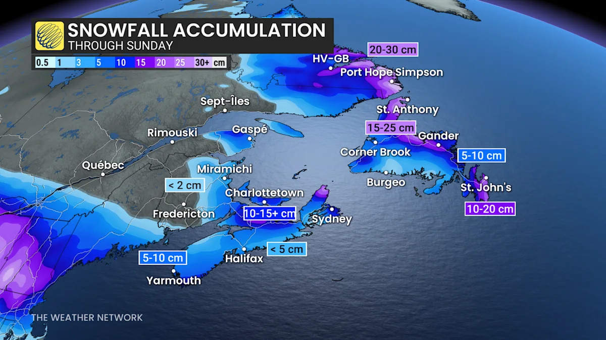 Weekend snow preludes strong nor'easter on East Coast - The Weather Network