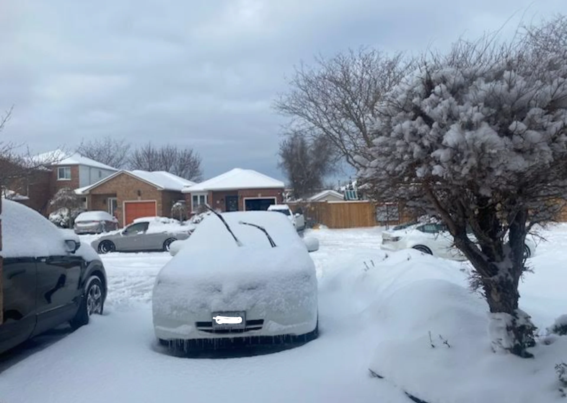 PHOTOS: GTA, Toronto hit by their biggest snowfall of the winter so far ...
