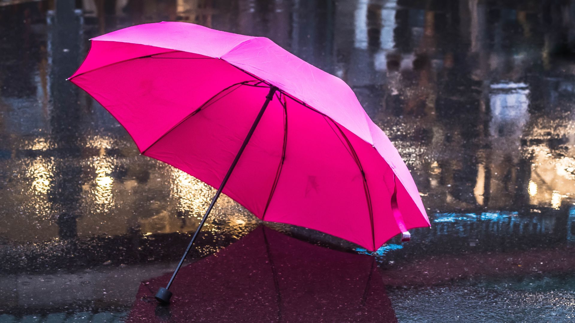 Seattle weather forecast: A chance of rain - The Weather Network