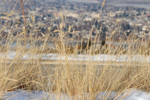 Brantford's weather forecast for March 20: Chilly winds - The Weather ...