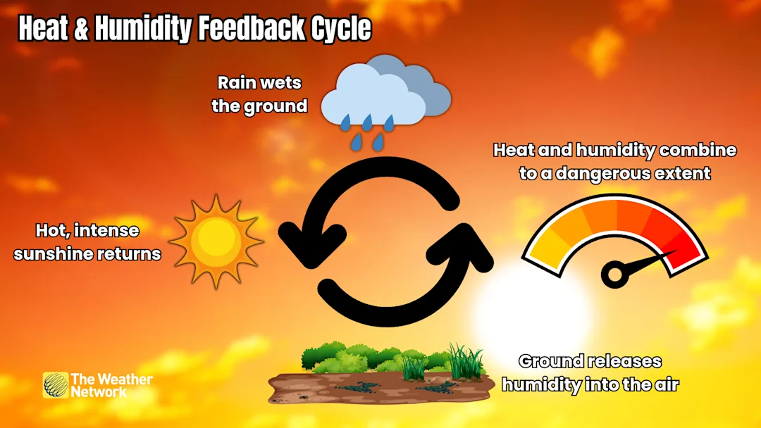 Scientists uncover a driving force behind deadly humid heat waves - The ...