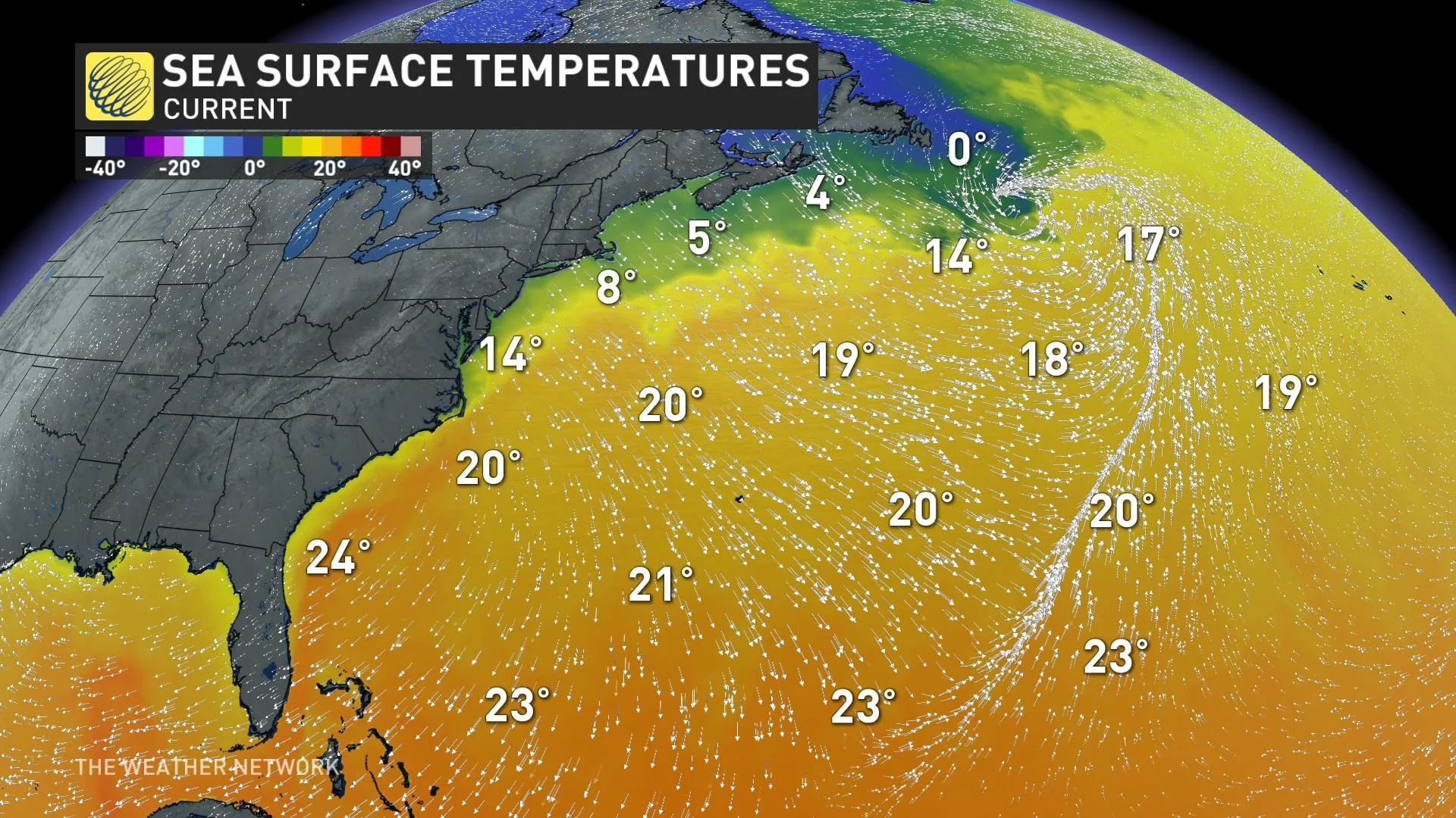 Watch as thousands of cloud streets billow over the Atlantic - The Weather Network