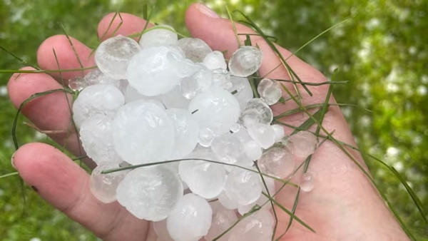 July's turbulent storm season keeping Calgary gardeners on guard - The ...