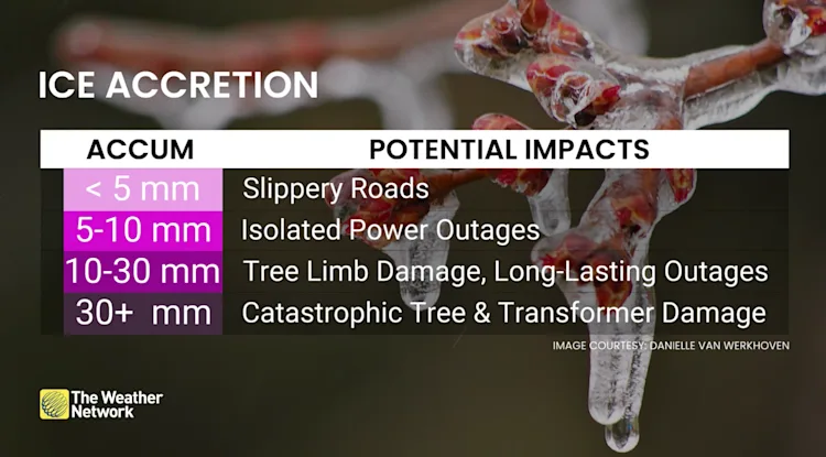 Snow and ice are heavy hazards that can damage trees, roofs - The ...