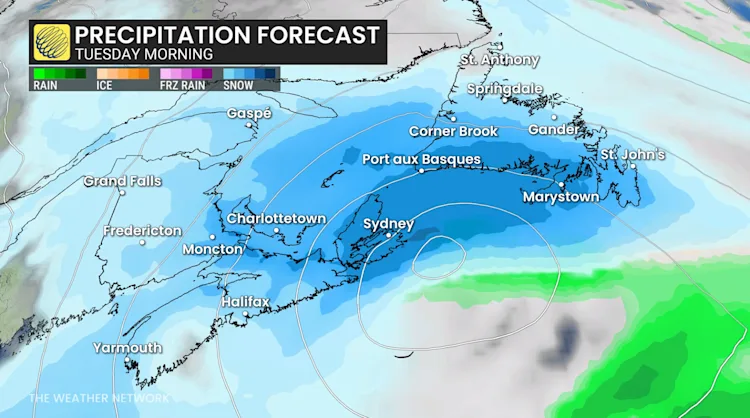 20-40+ cm of snow as high-impact storm hits Atlantic Canada - The ...