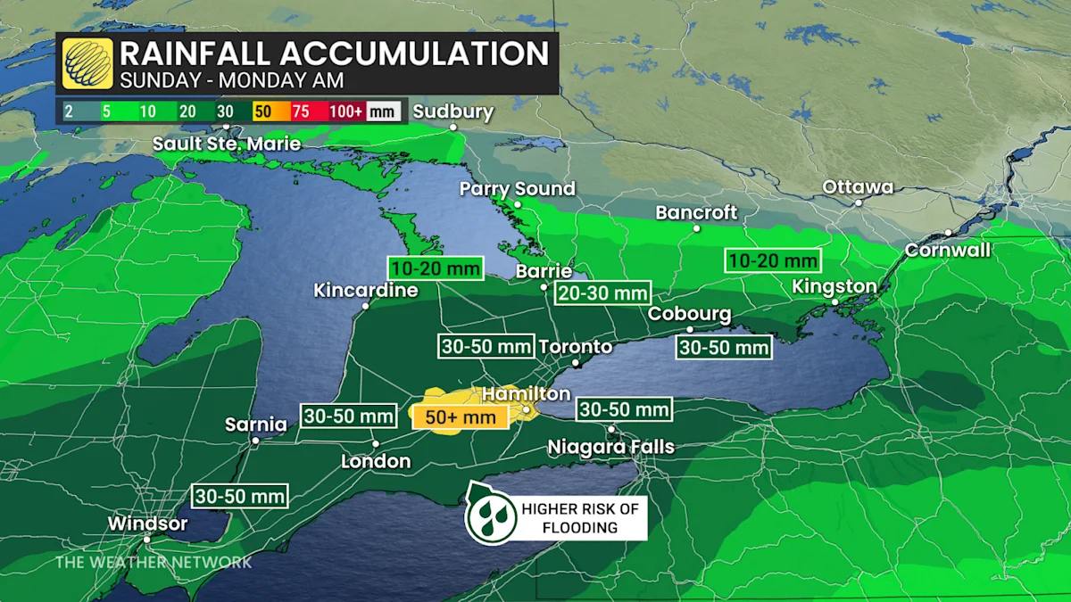 High-impact winter storm bears down on Ontario Sunday - The Weather Network