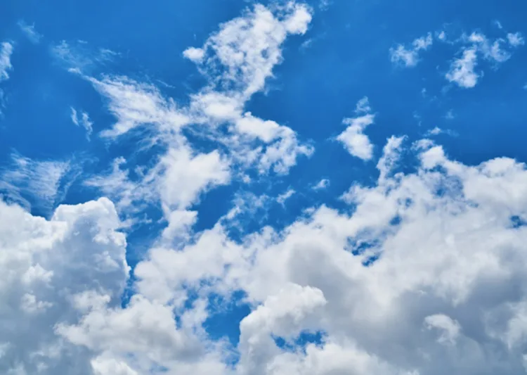 Seattle weather forecast: Mix of sun and clouds - The Weather Network