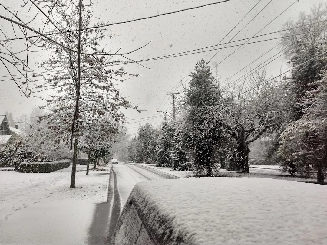 B.C. residents brace for travel, power impacts from major snow event ...
