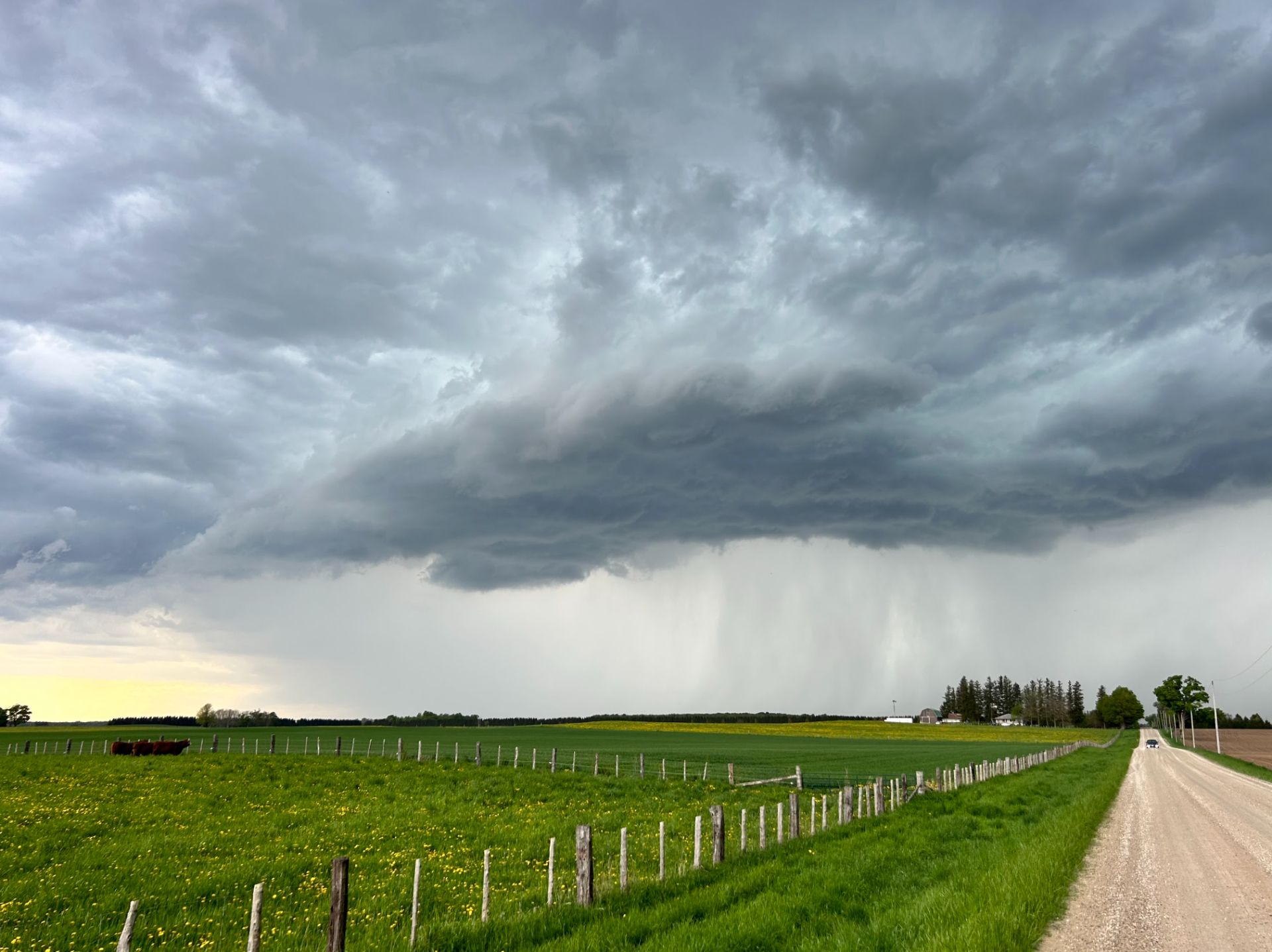 Severe thunderstorms trigger tornado warning in southern Ontario - The ...