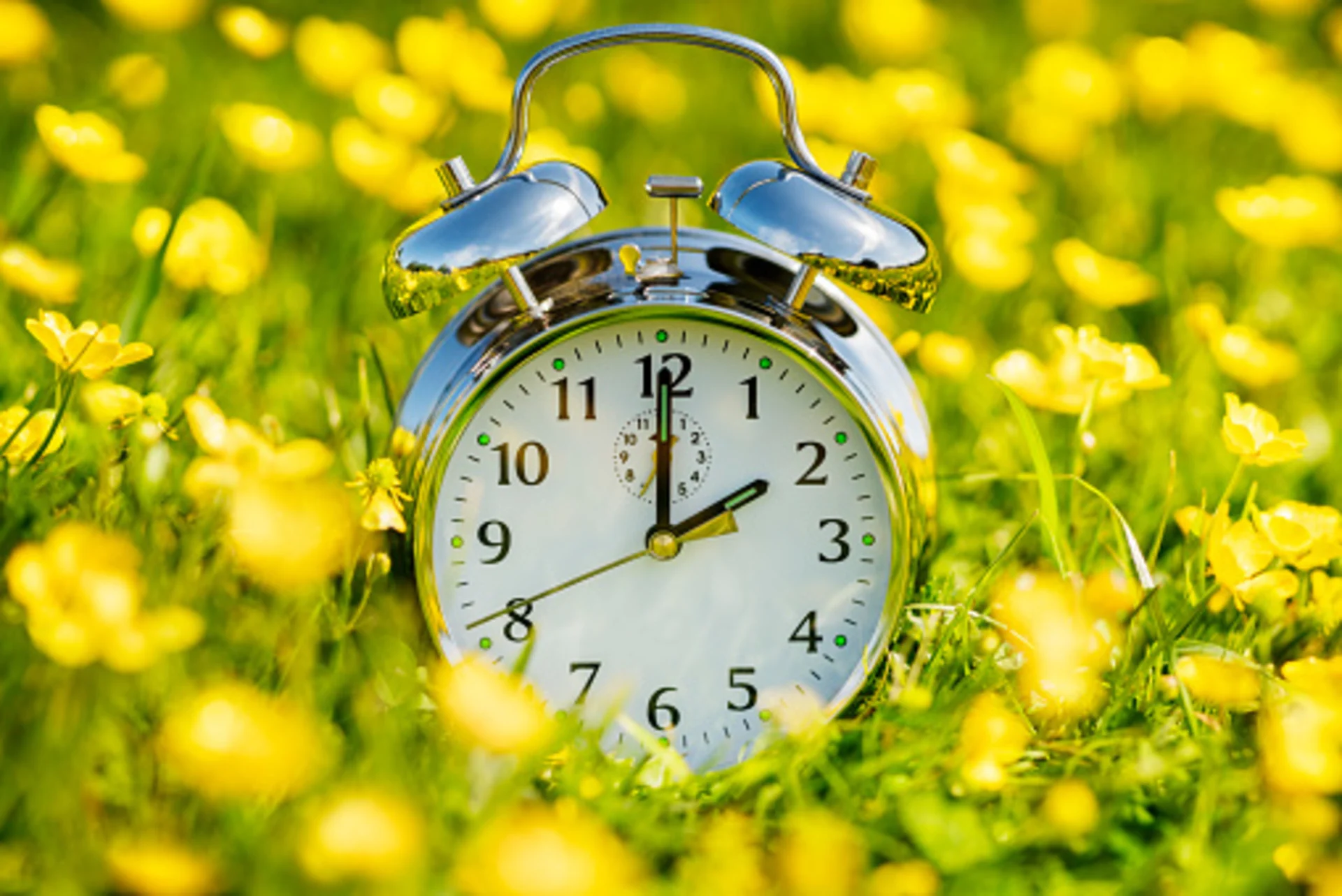 Spring’s arrival and time change: March marks new beginnings - The ...