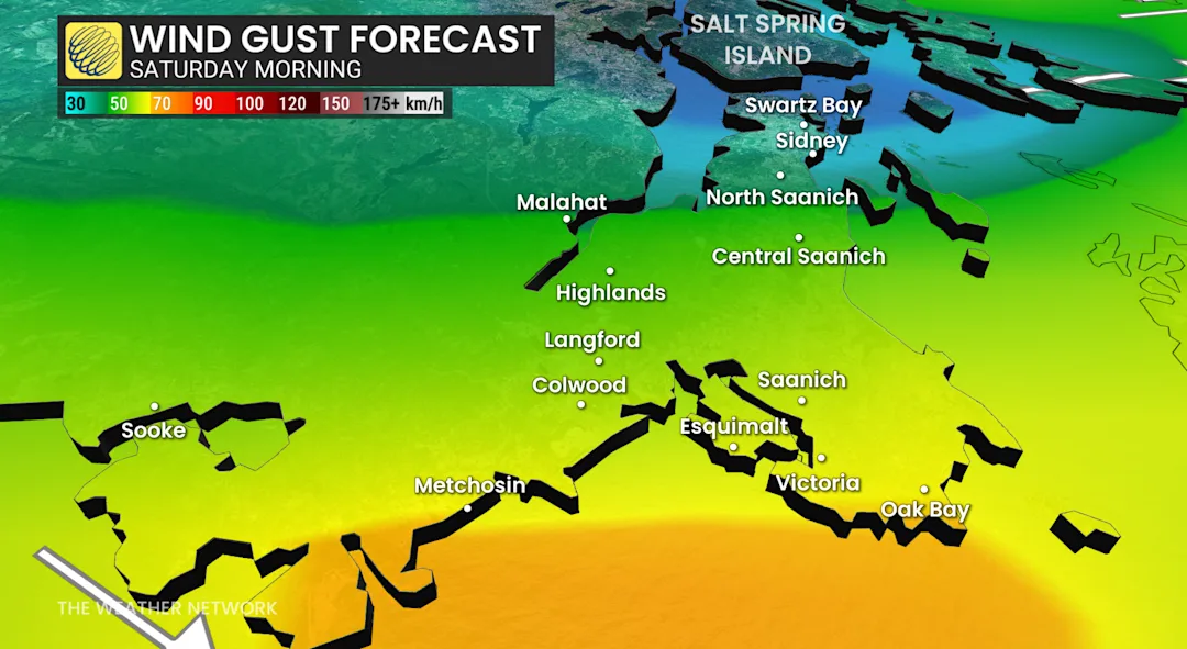 November kicks off on a windy, dreary note for portions of B.C. - The ...