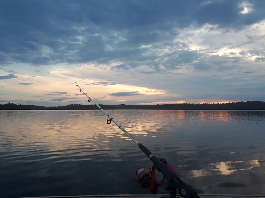 Forecasting for successful fishing: Weather conditions to help with ...